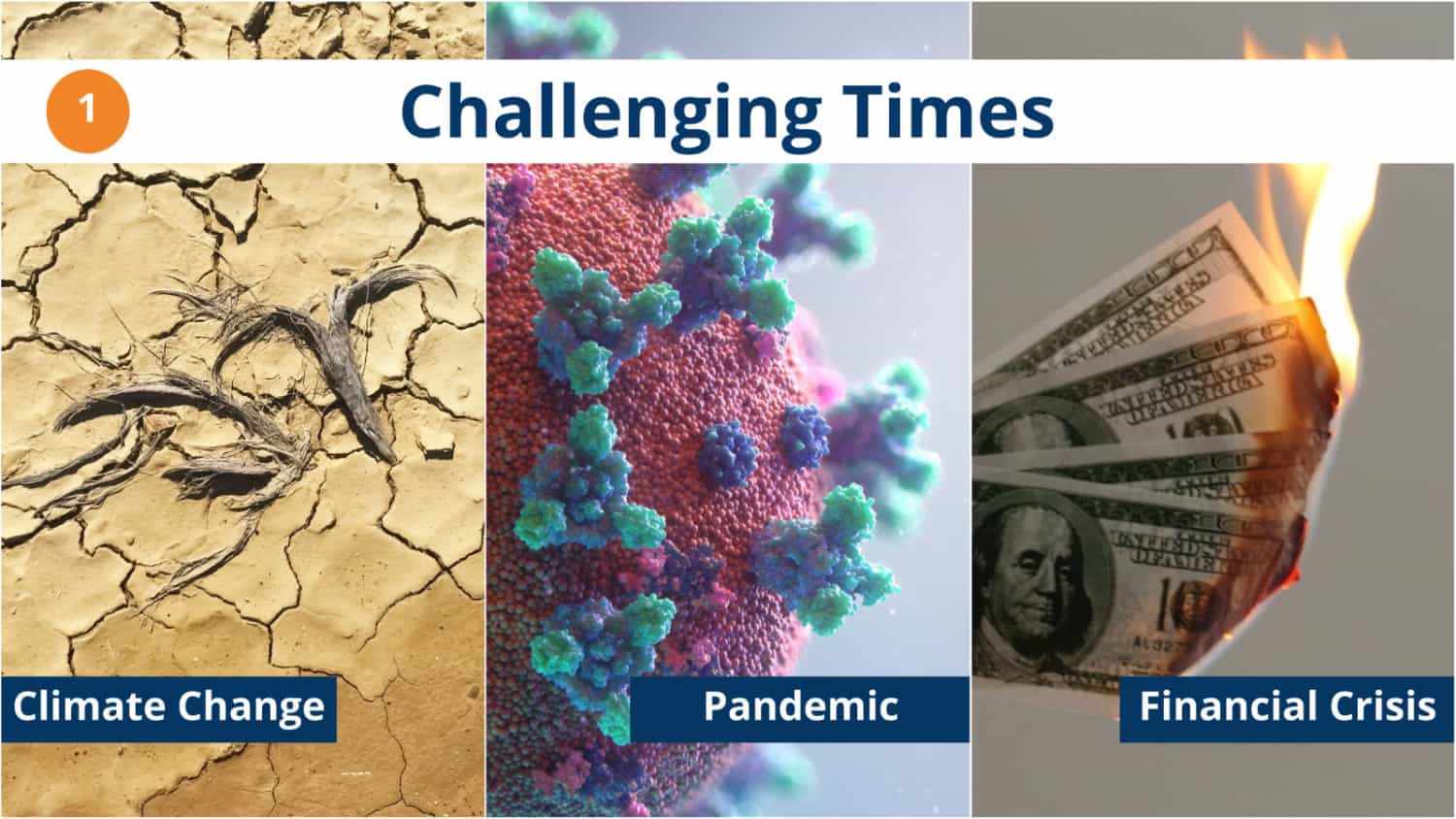 Challenges in Business 2022 – perspective: international